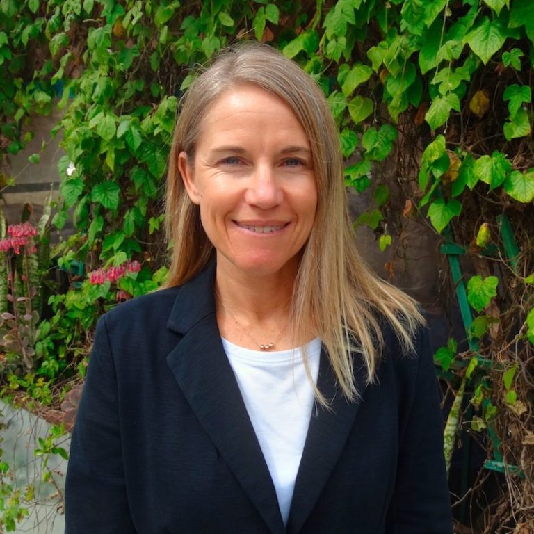 About | Ark Marketing